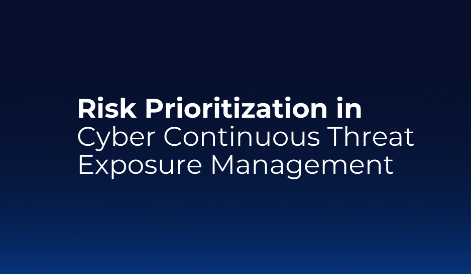 Risk Prioritization in Cyber Continuous Threat Exposure Management